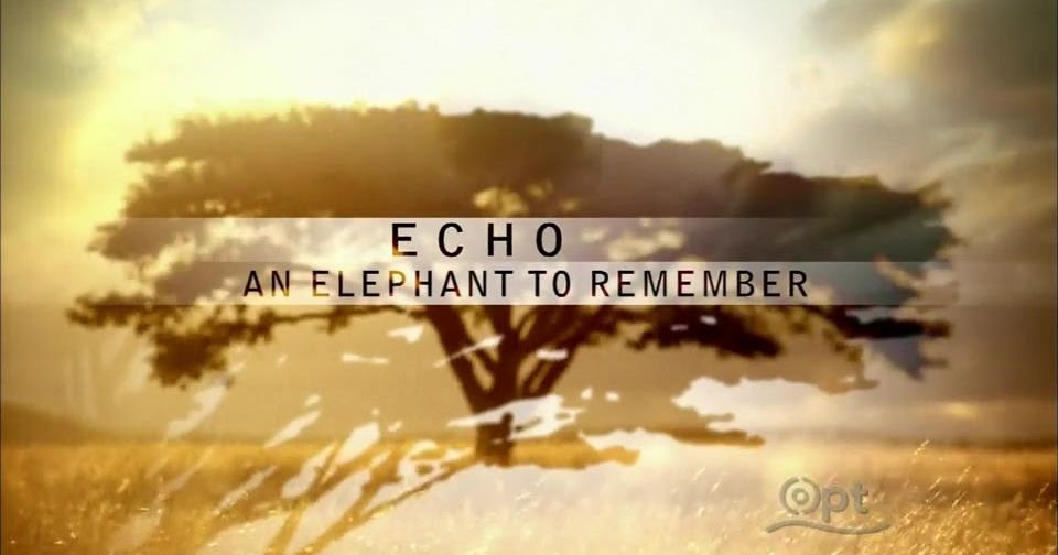 Misce Thoughts: Echo: An Elephant to Remember (2010)
